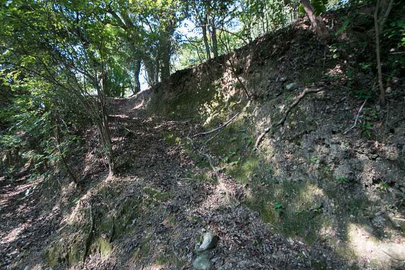 Nakamura Castle (Tosa) -History of island hero (5) Beat of benefactor ...