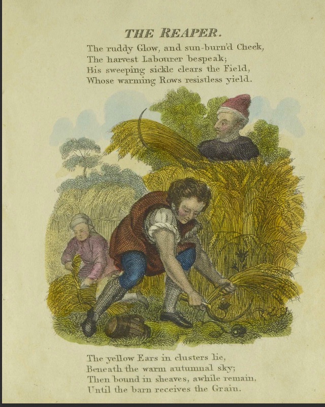 Dishy News - A Transferware Blog: THE PROGRESS OF THE QUARTERN LOAF ON ...