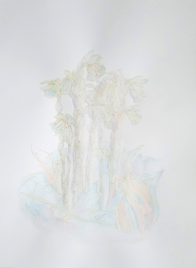 Maza Studio: Indian Pipe Painting