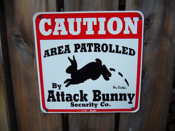 The Social Poets: Funny Easter Photo: Check Out Latest Security Guard ...