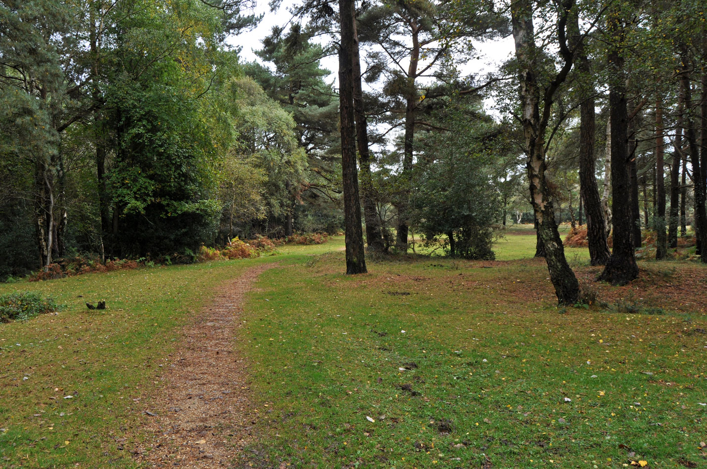 Highest Points: 7-11 - Poole, Bournemouth, New Forest, Southampton and ...