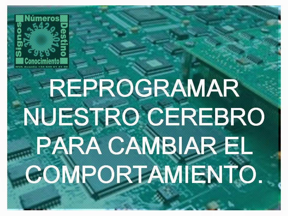 Numerología Vital del Autoconocimiento. NVA. Avance: REPROGRAMAR ...