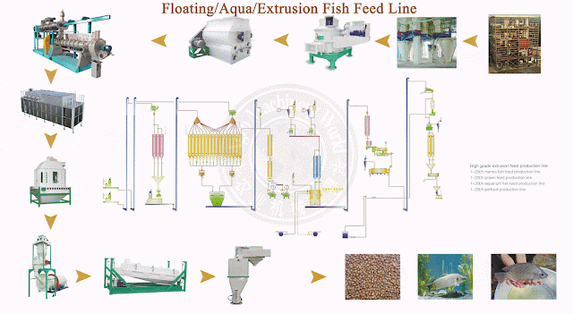 Floating fish feed process line - Agro Machinery World