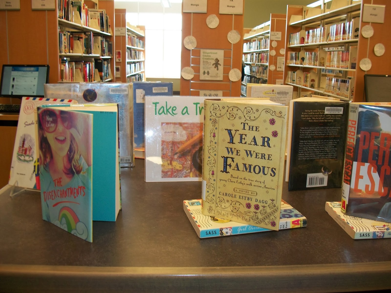Field Acquisitions: December Teen Book Displays