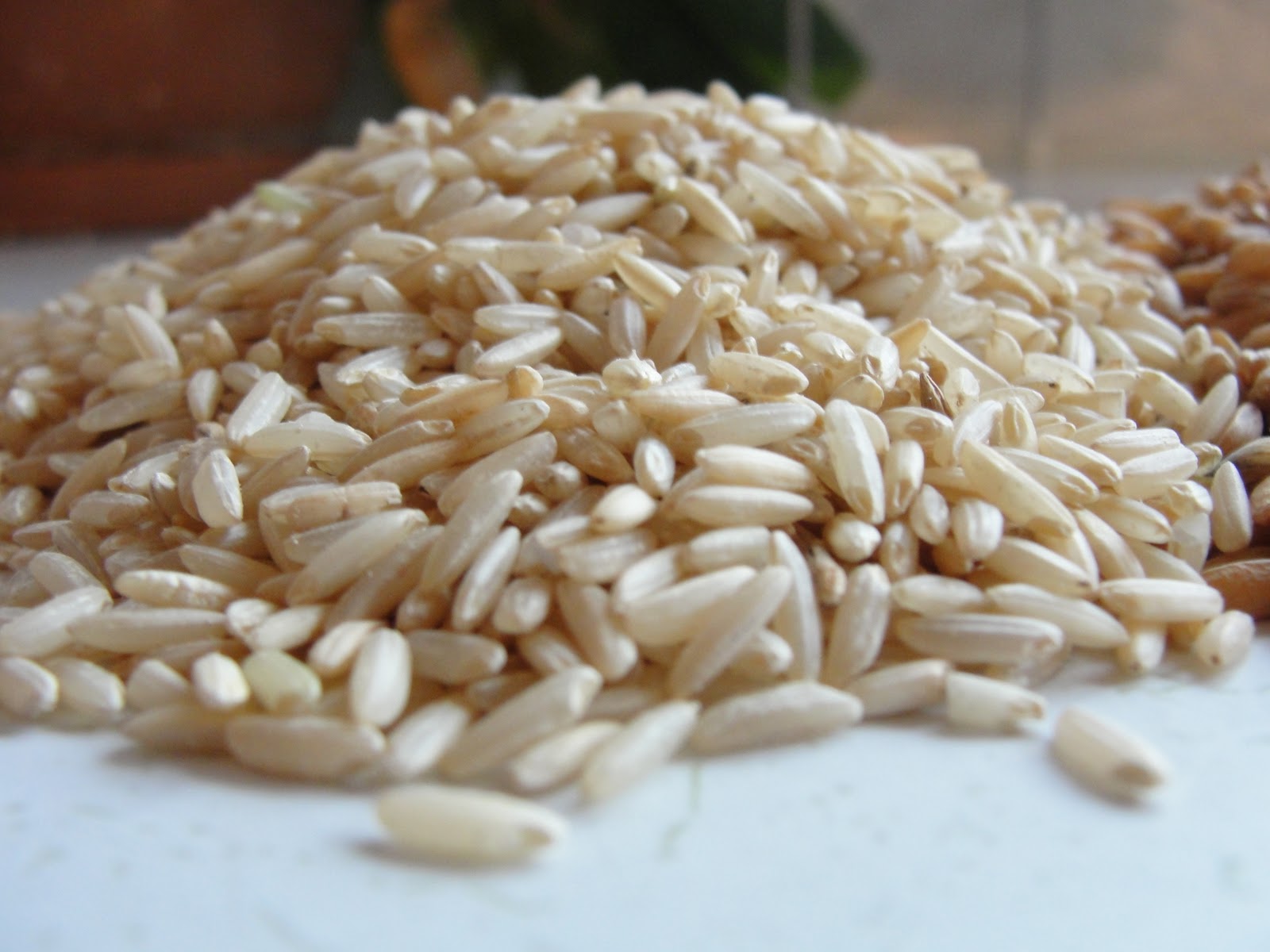 Healthy Family Cookin': Monday Meet Whole Foods: Wonder Flour!