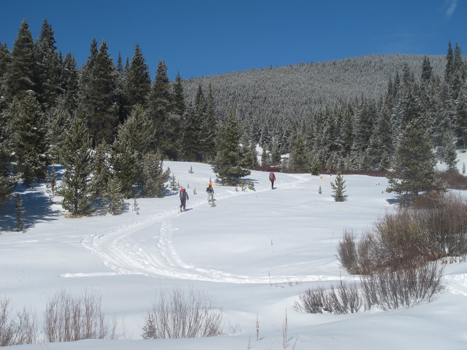 Bill's Travels Blog: 20120207Tuesday Feb 7 Ski from Tennessee Pass to ...