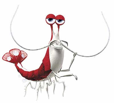 Finding Nemo - Jacques the Pacific Cleaner Shrimp - lives in aquarium ...