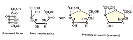CulturalMente: I CARBOIDRATI
