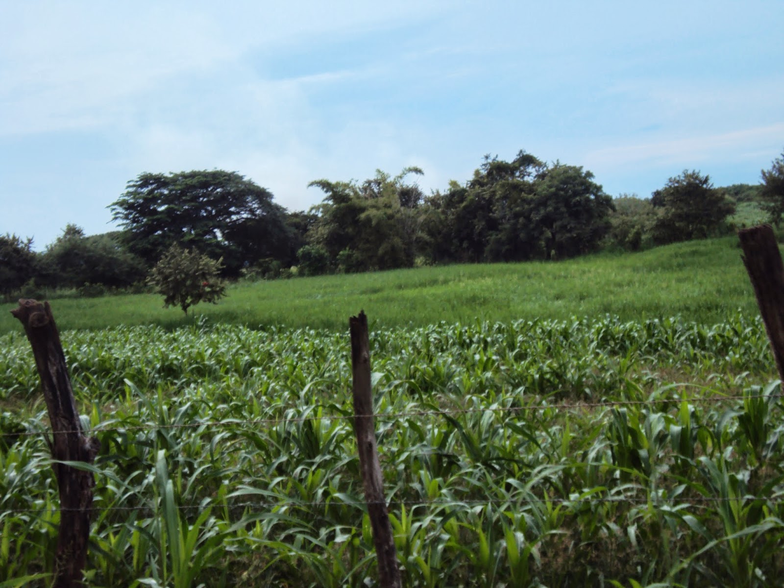 SOCIOLOGÍA DE AZUERO...Milcíades Pinzón Rodríguez: GÉNESIS Y EVOLUCIÓN ...