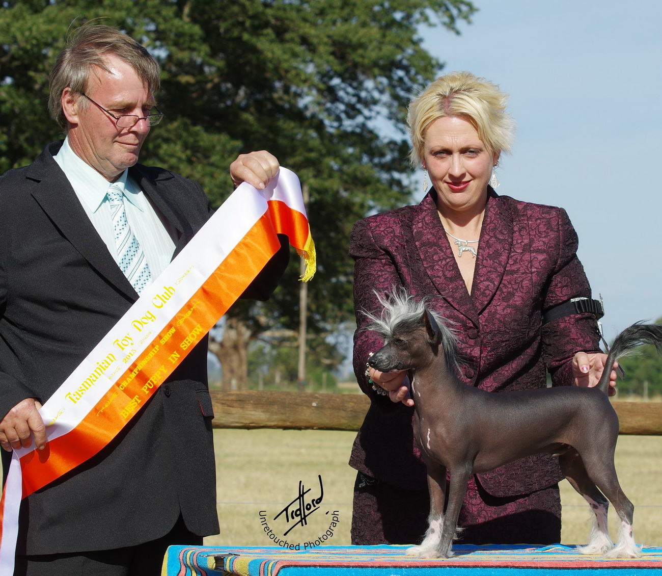 TraffordPhotos - Australian Dog Show Photos: January 2015