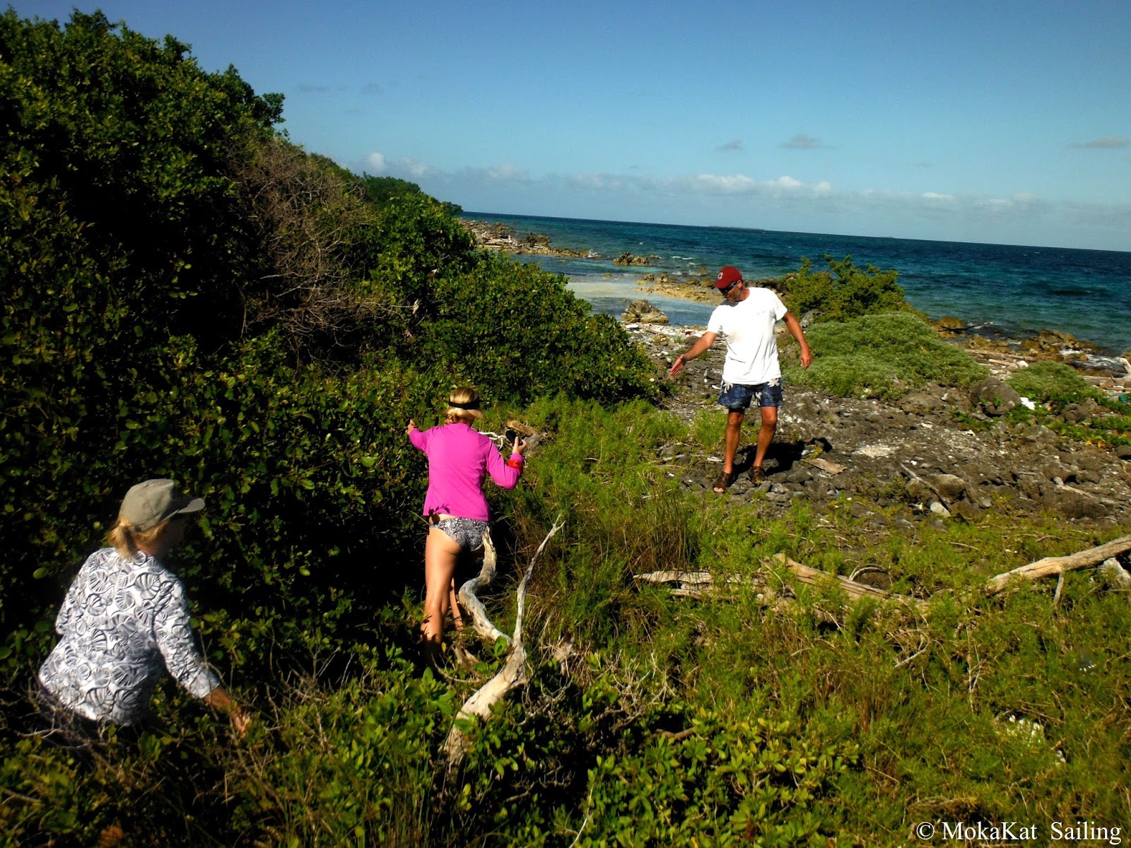 MokaKat Sailing: Nick and Silke's Visit - Part 2 Cary Cay, Excellent ...