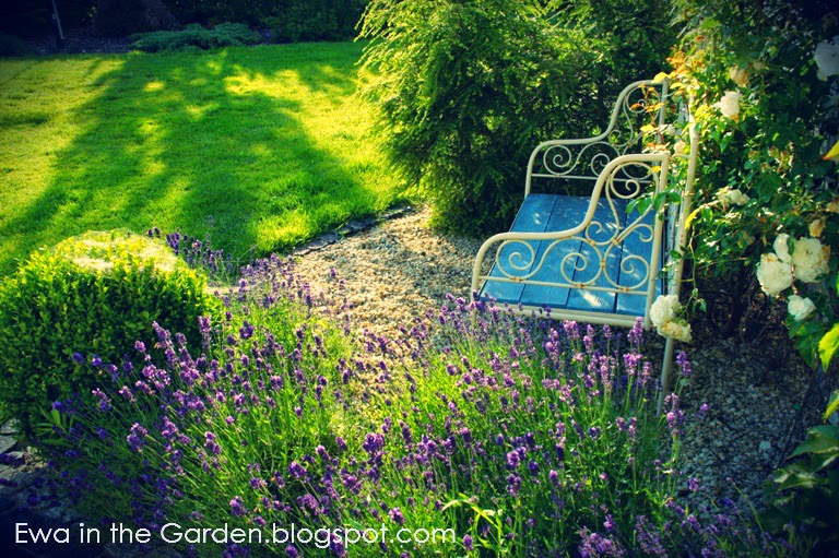 Ewa in the Garden: 17 Photos of Provençal Garden designed by Ewa Maria ...