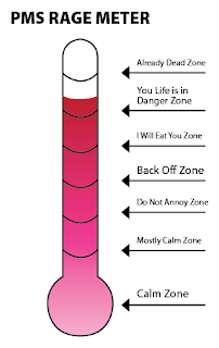 Useless Rantings of a 20 Something: PMS Rage Meter