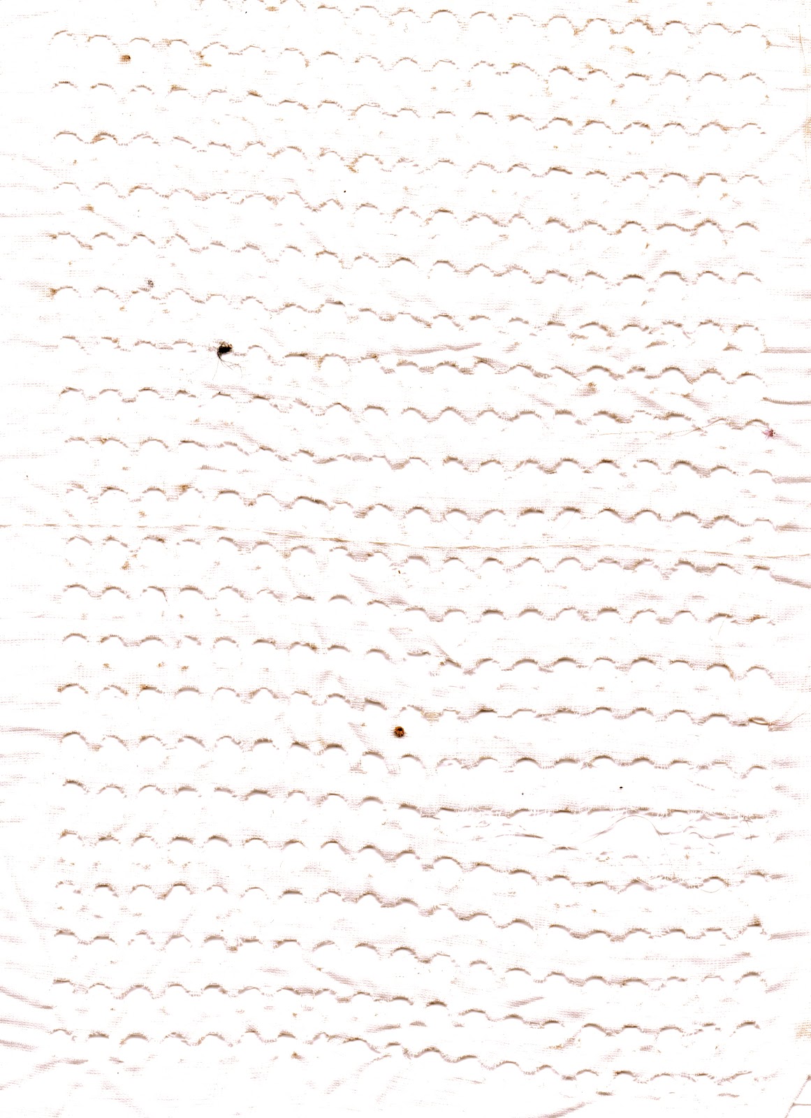 Anna Columbine: Stitch and Scan.