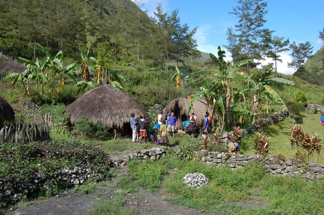 URBANISMO 1 - FORMAS Y PATRONES URBANOS: ALDEA