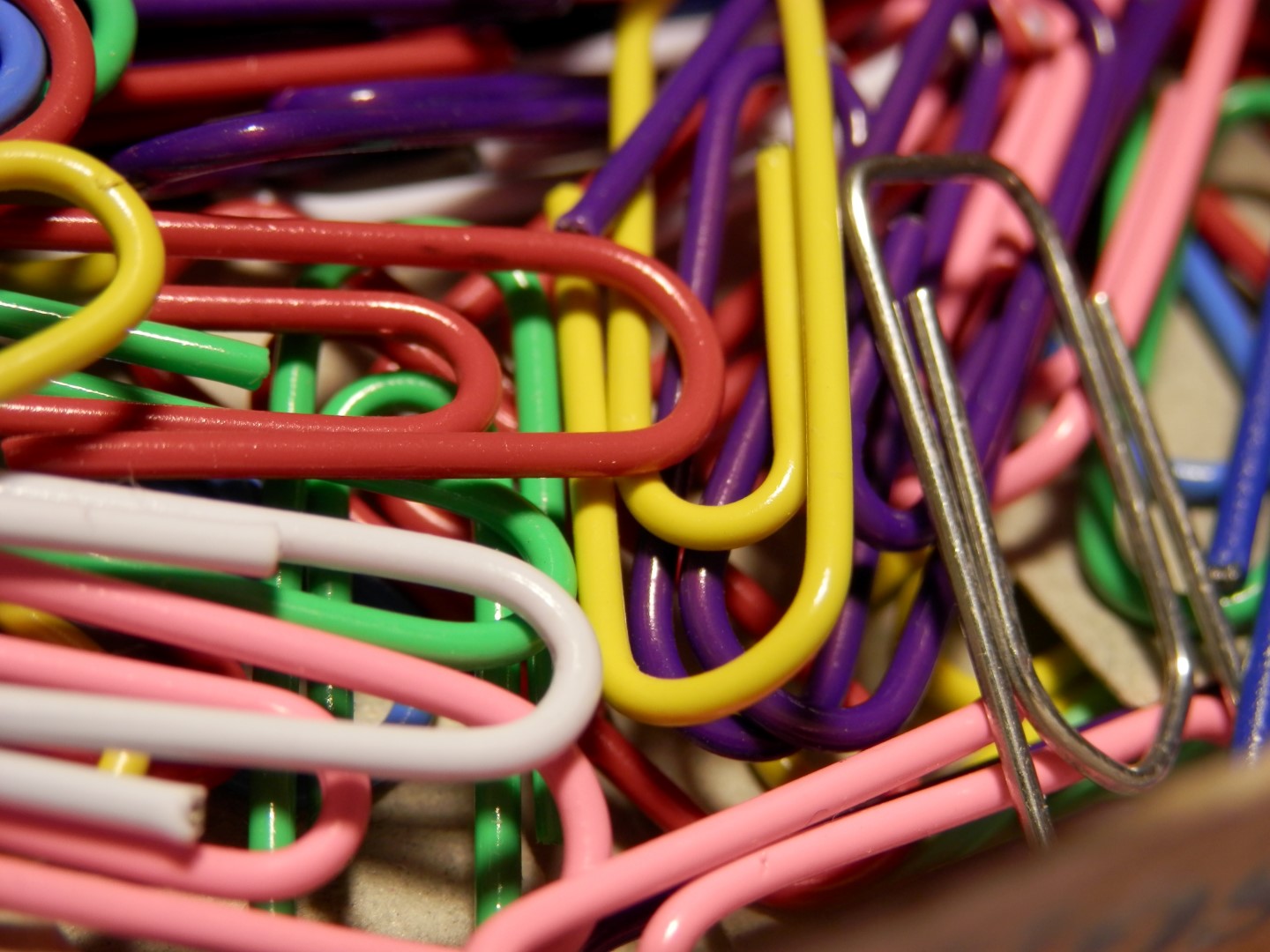 Macro fotography - everyday objects: First post- Macro photography