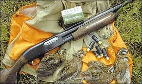 Different Characteristics of Upland Bird Hunting Shotguns - Guns Review