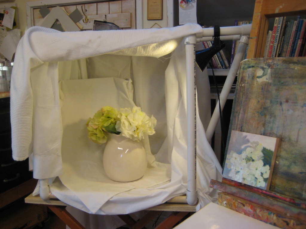 Sally Chupick : Still life stage and chooks