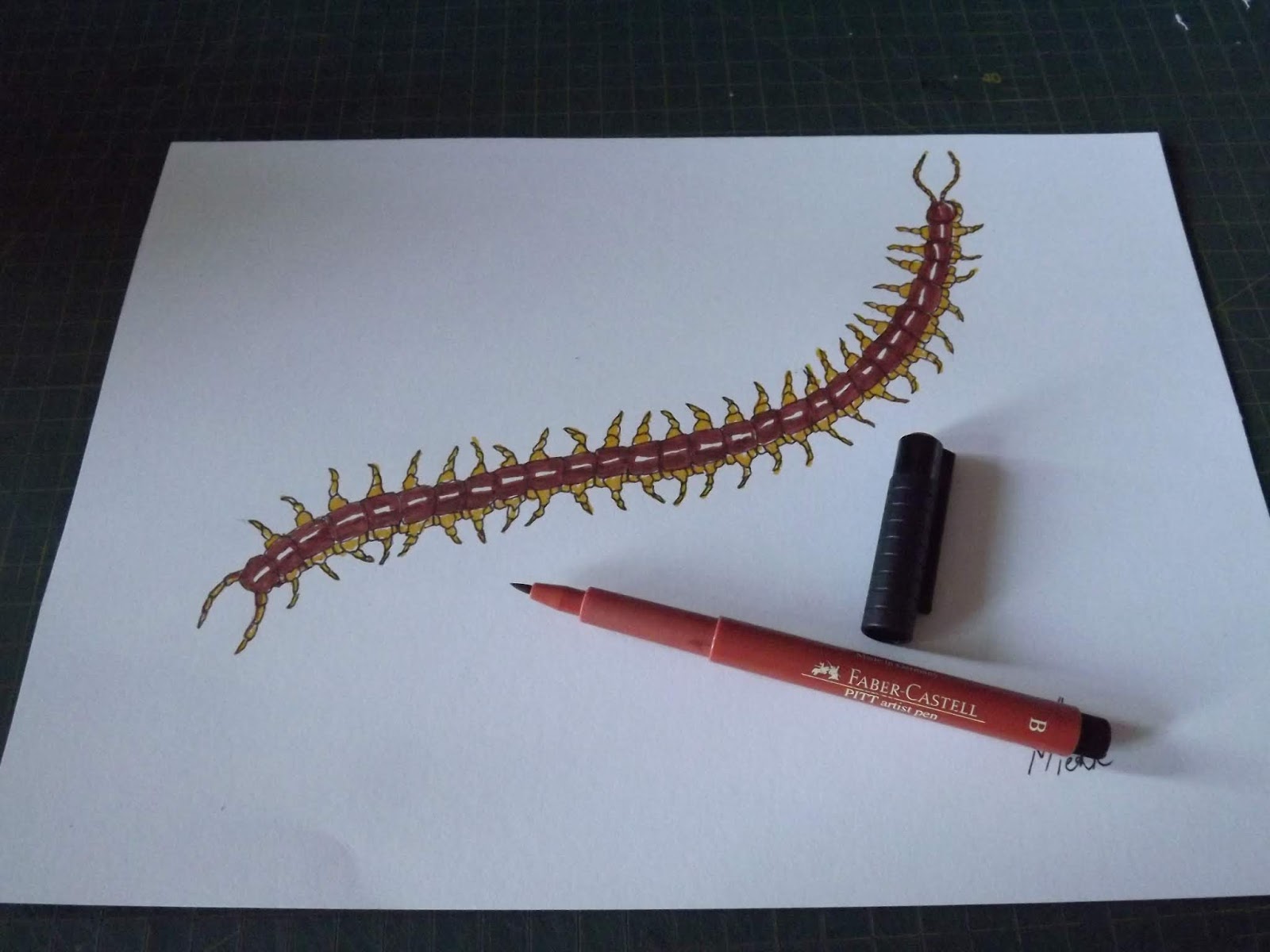 A Pretty Talent Blog: How to draw: A Centipede