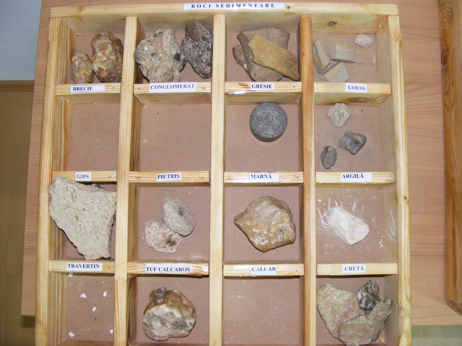 Silvicultura Brasov: Poze geologie ( roci )