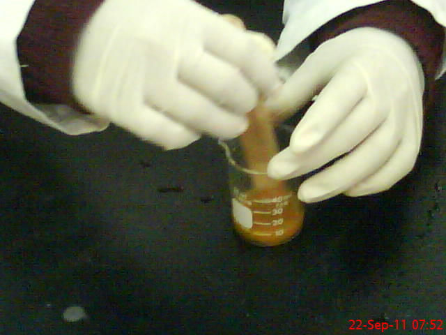 Majettzi Gomez: TECNICA DE FAUST- 3DM- LAB.CLINICO.M.