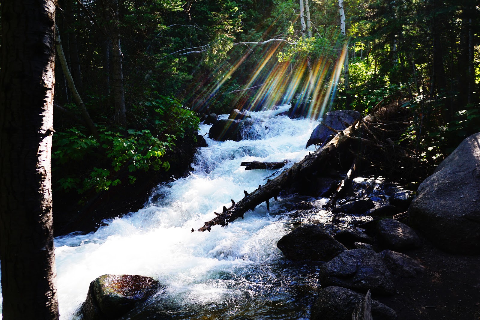 Lazarow World-Hike-About: Pre-Mount Olympus Climb (blog): 'A Utah Water ...