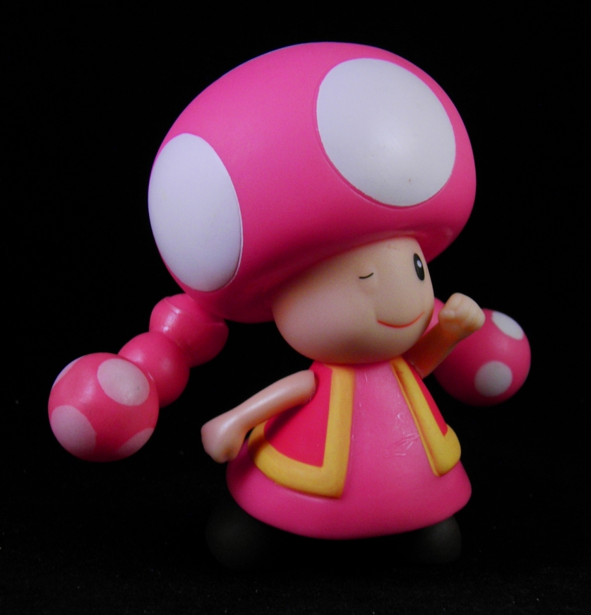 She's Fantastic: Super Mario Bros TOADETTE!