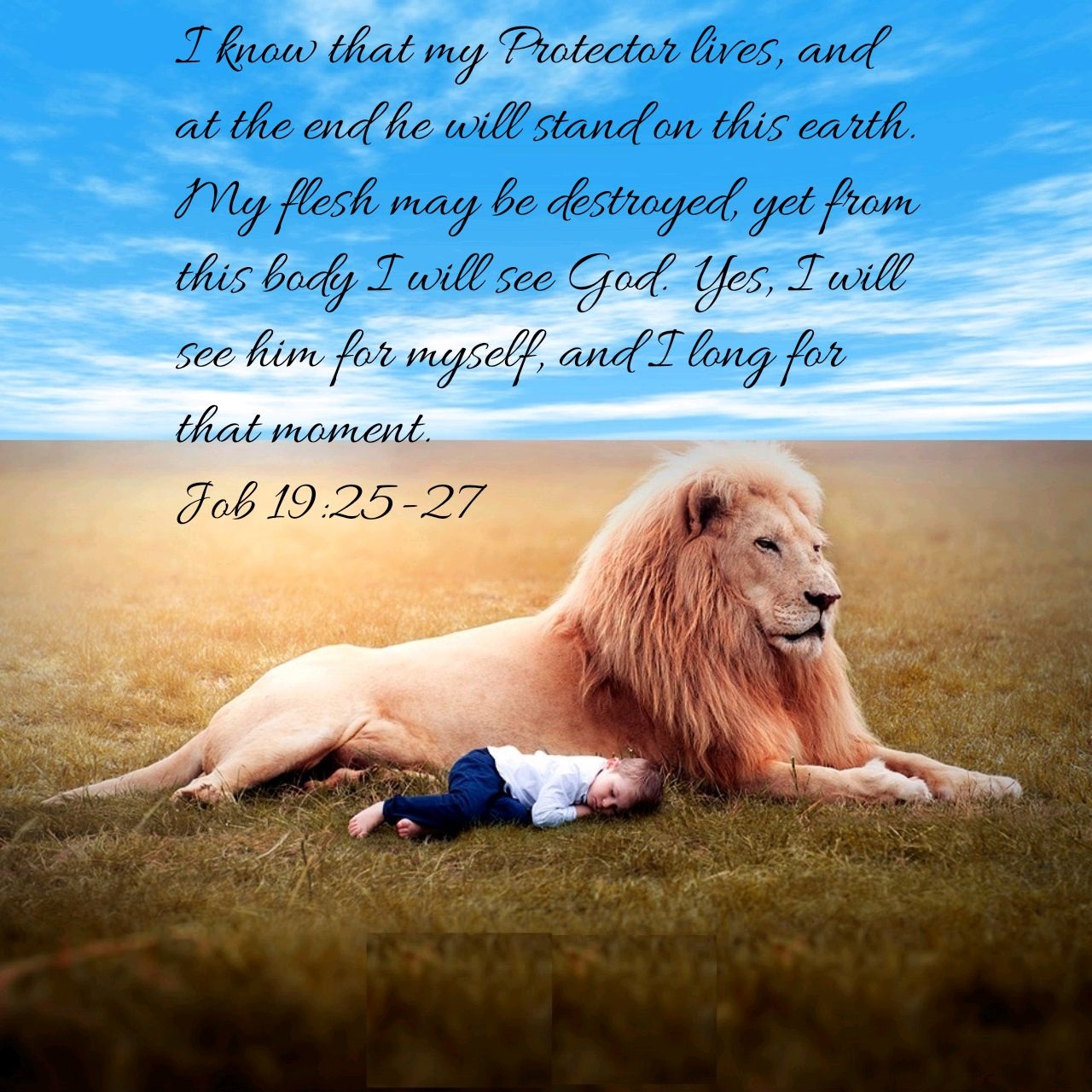 Morning Musings : "I know that my Protector lives…" Job 19:25‭-‬27 CEV