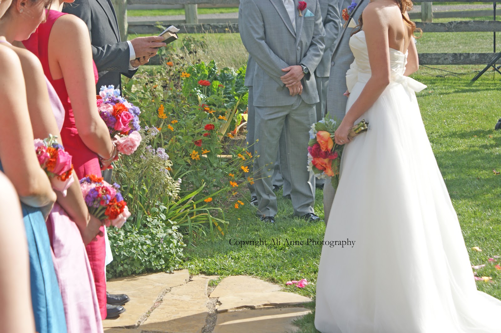 Ali Anne Photography