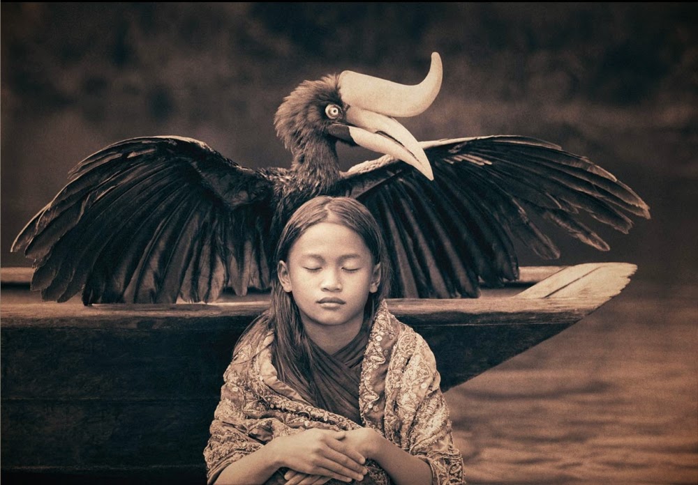 EL ANIMAL INVISIBLE: Gregory Colbert