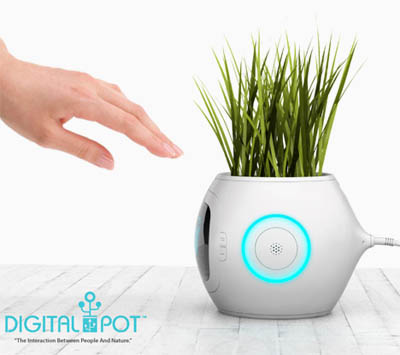 A'Pallota: ***Macetas inteligentes***