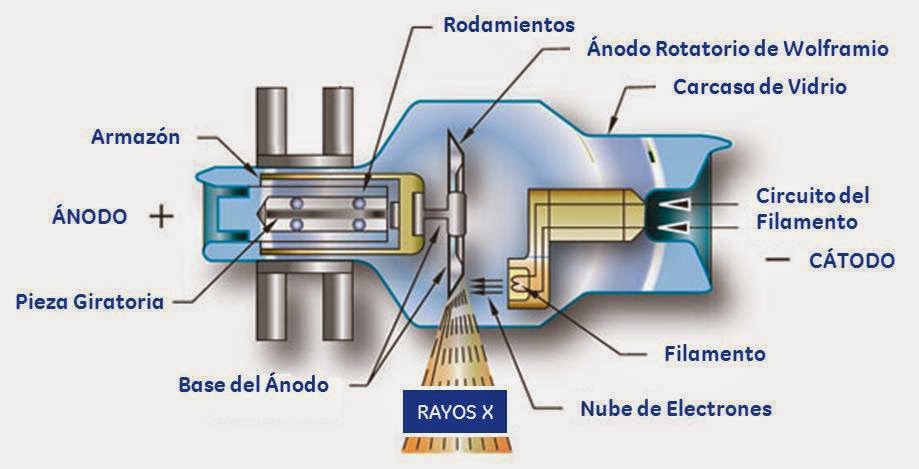 Nazareth Araque Radiologia: Equipos de Rx (El tubo de Rx)