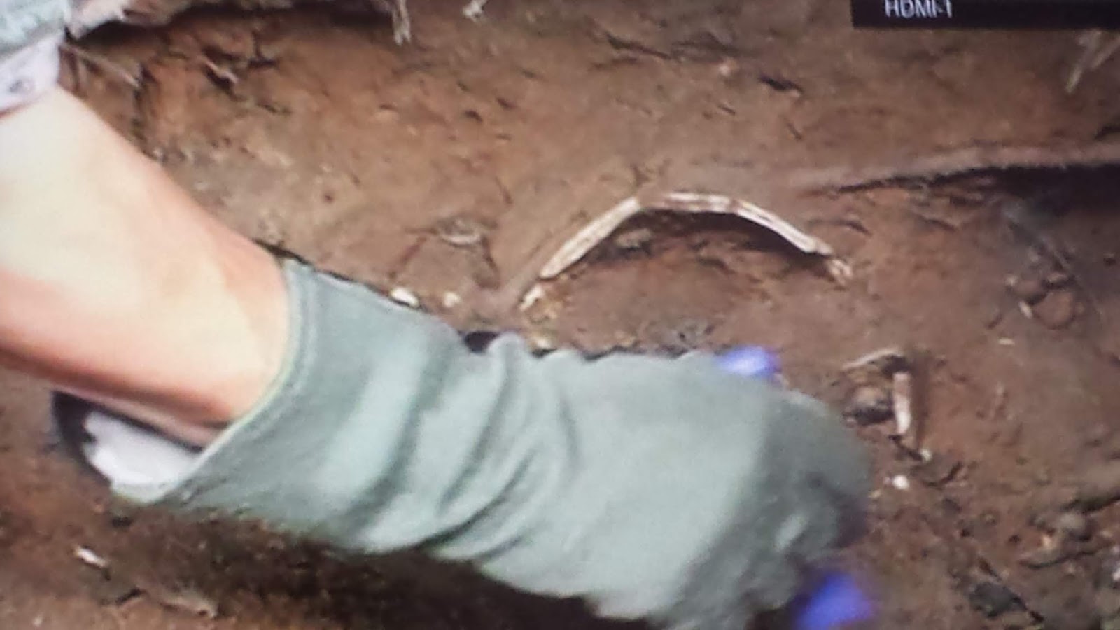 What Happened to the Giant Skeleton That Was Dug Up?