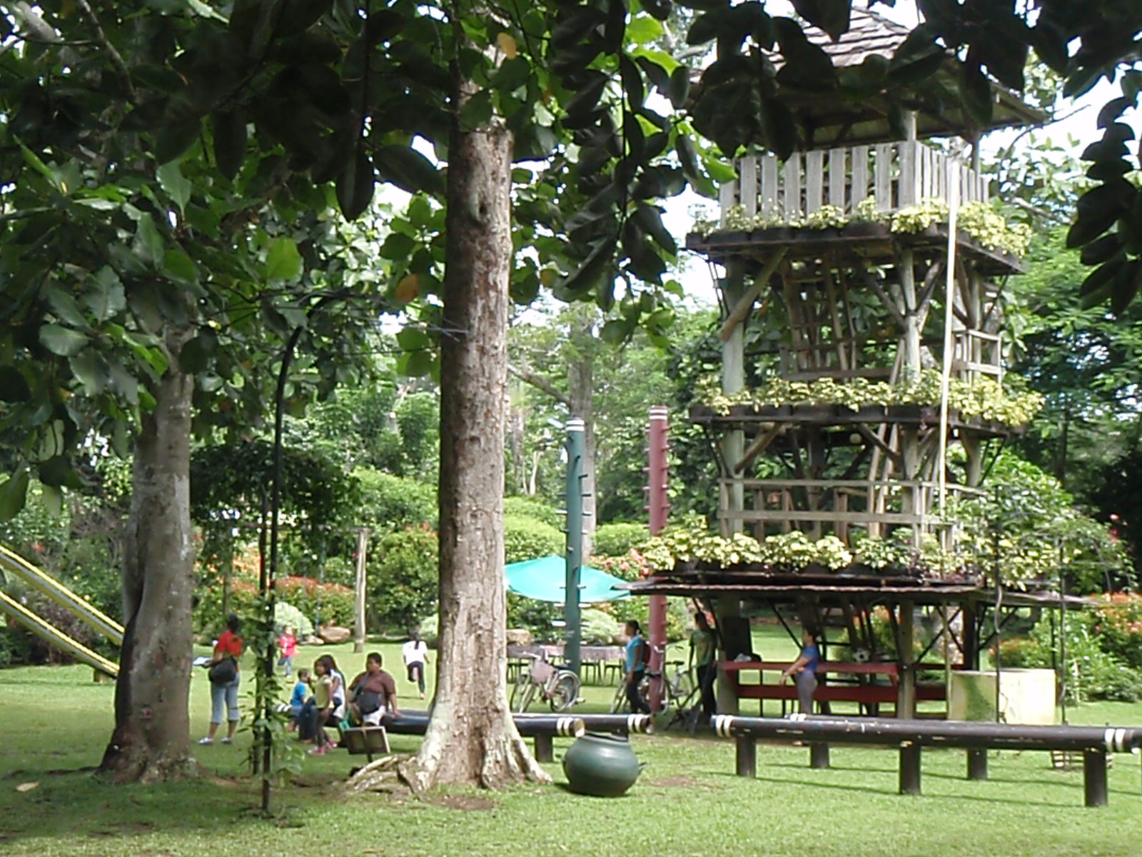 Malagos Garden Resort's Bird Show in Davao | Noelizm