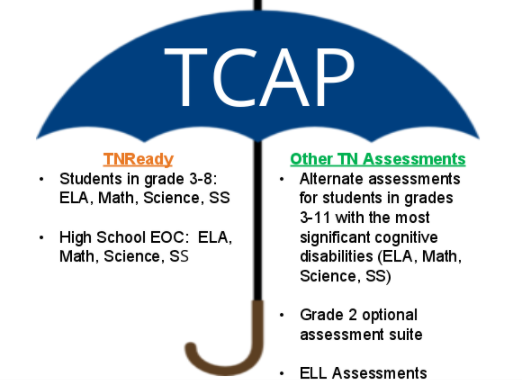 TNMathChic: TOP 10 Things to Know About TCAP TNReady