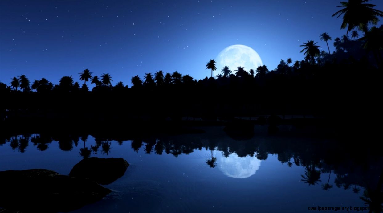 Night Nature Desktop | Wallpapers Gallery