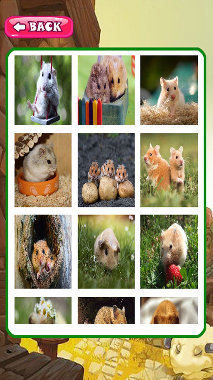 Jigsaw Puzzles Hamster Games For Kids Education