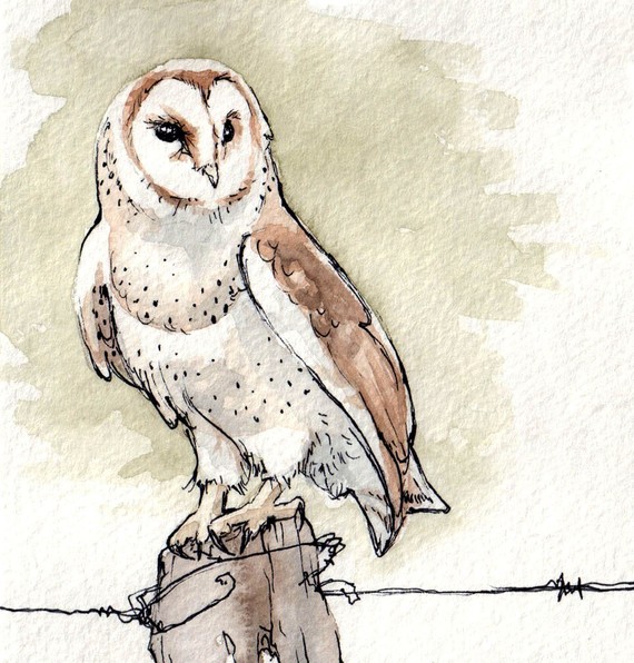 escribimos por la cara: La Leyenda de la lechuza blanca