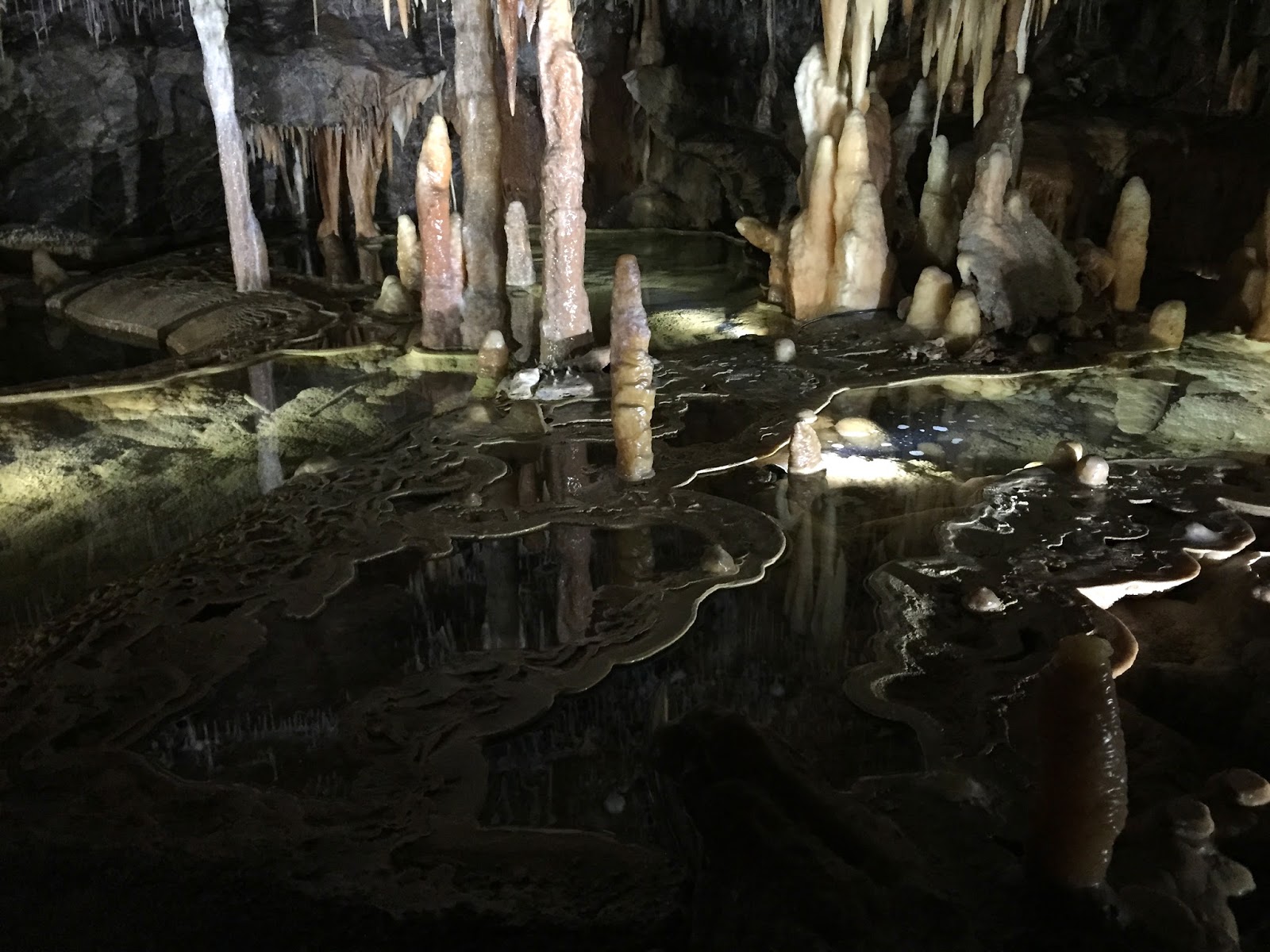 RDO Melbourne: Buchan Caves, Buchan
