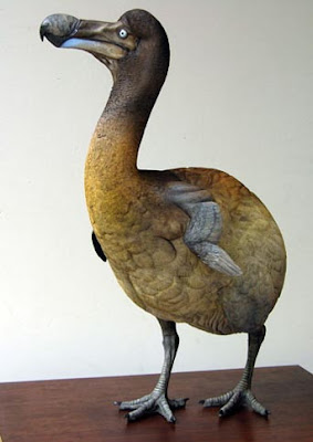 Dodo (Raphus Cucullatus) ~ World Extinct Animals