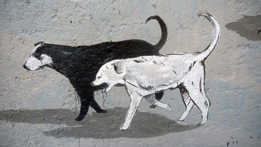 Escif New Mural In Mexico (Part II) – StreetArtNews