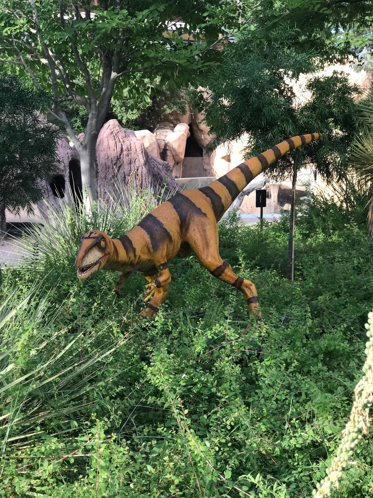 DINOS! Live at Denver Zoo - Building Our Story