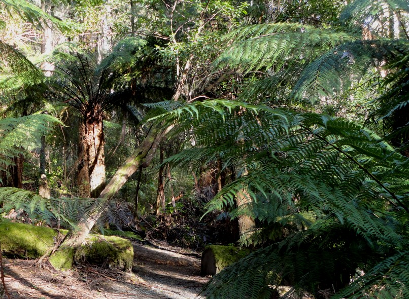 home, in a heartbeat: Come...