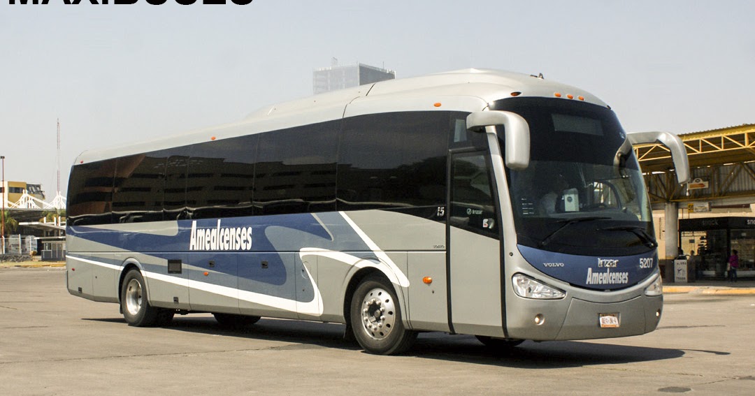 MAXIBUSES: AUTOBUSES AMEALCENSES