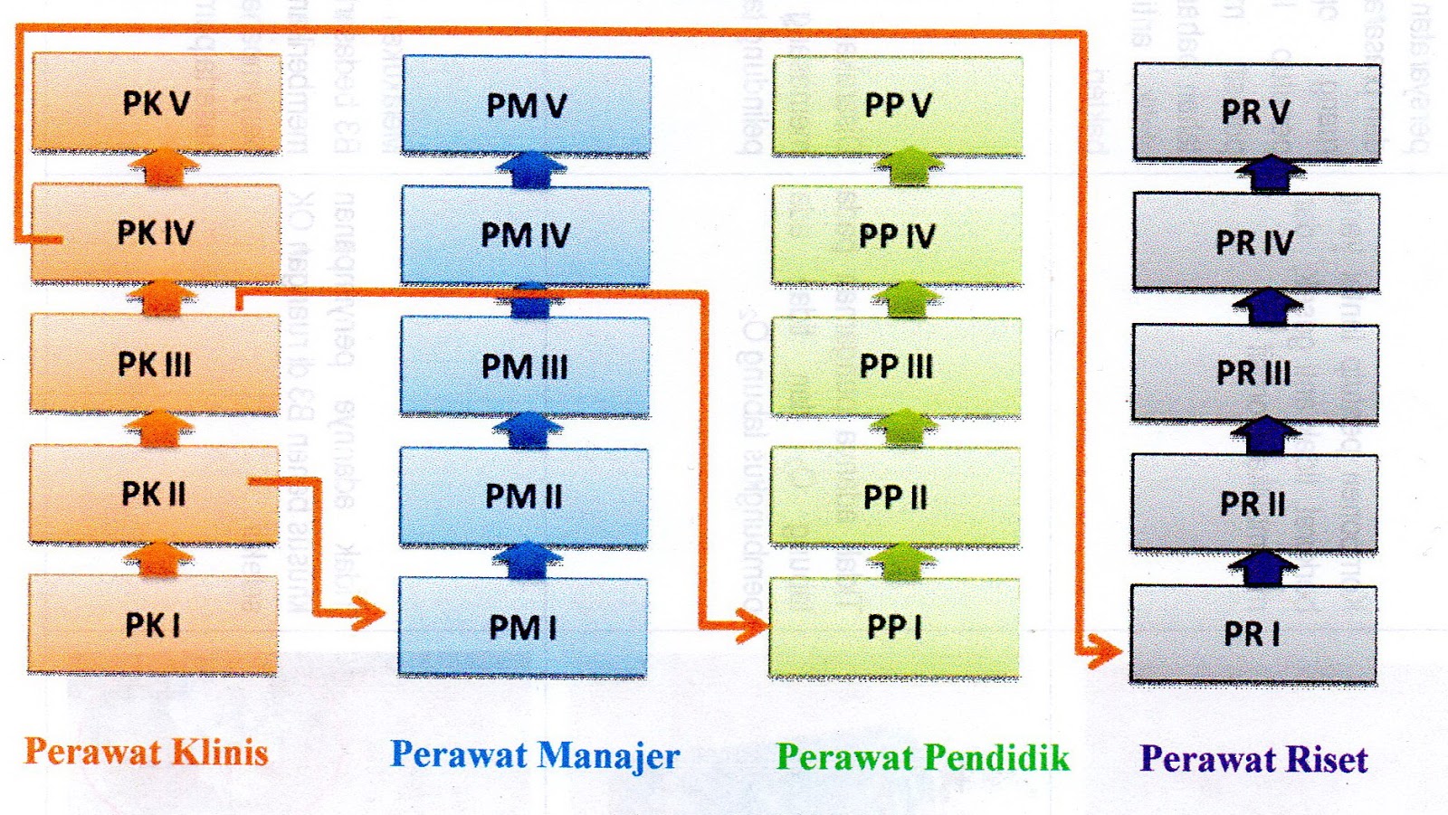 Dpw Ppni Kalimantan Utara Sistem Jenjang Karir Profesional Perawat