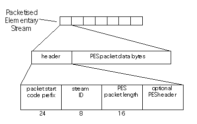 Rookie worker: TS (Transport Stream)