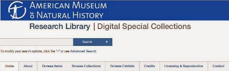 TCCLibraryblog: American Museum of Natural History Digital Special ...
