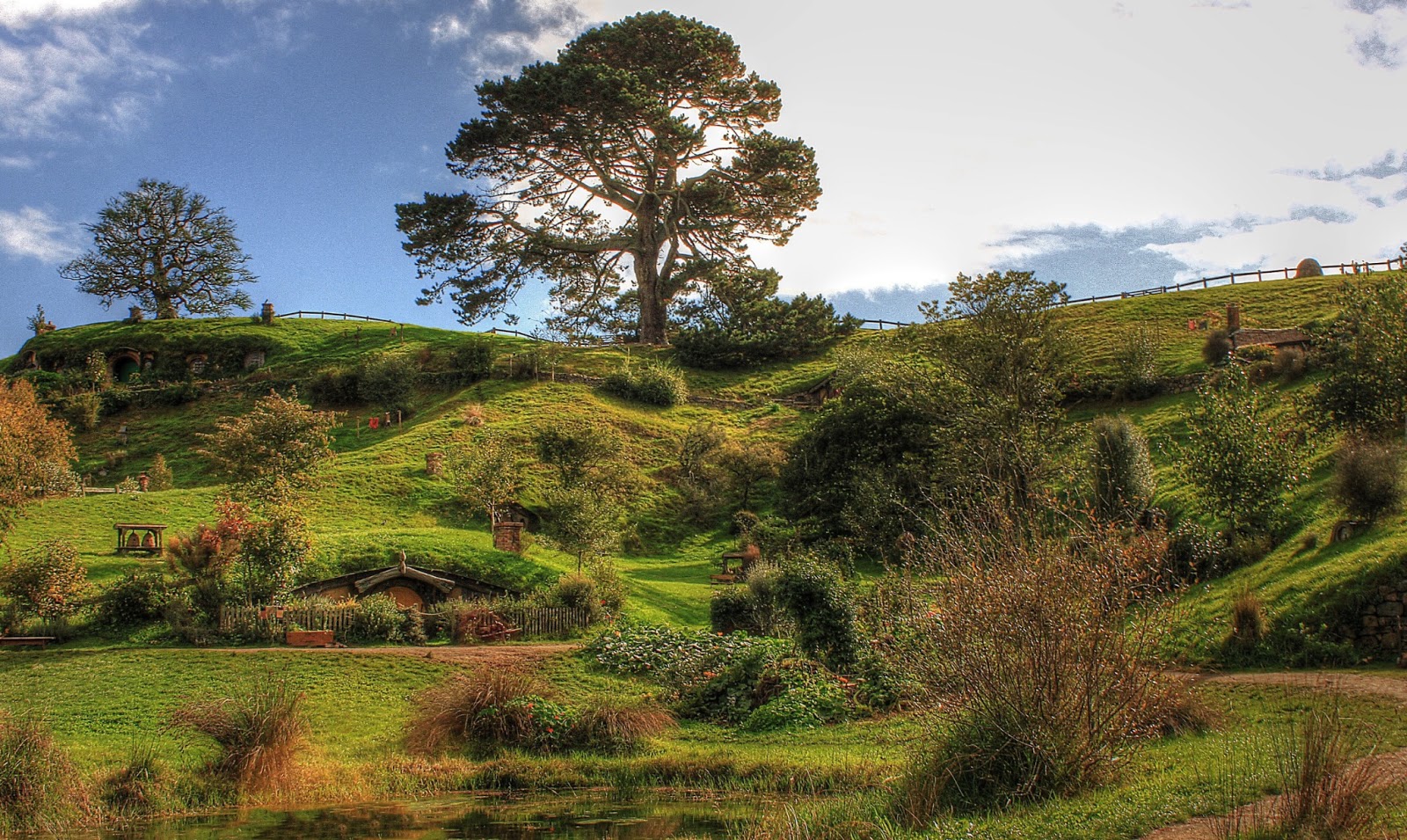 Travel & Adventures: Matamata - Hobbiton, "The Shire". A voyage to ...
