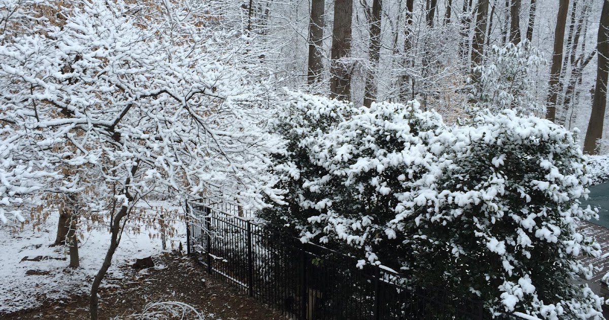 Wide World of Weather: How Common is March Snow?