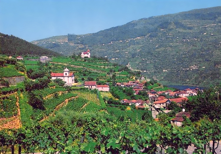 Retratos de Portugal: Mesão Frio - Vista Parcial de Barqueiros